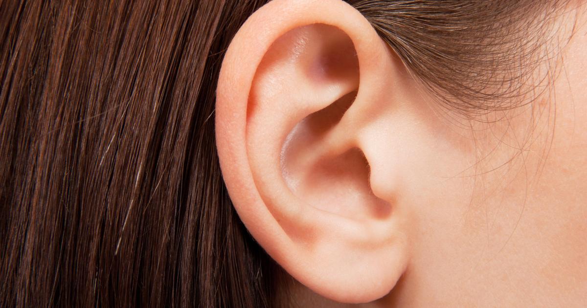 New Bionic Human Ear Works Better than Natural Ear - Big Think