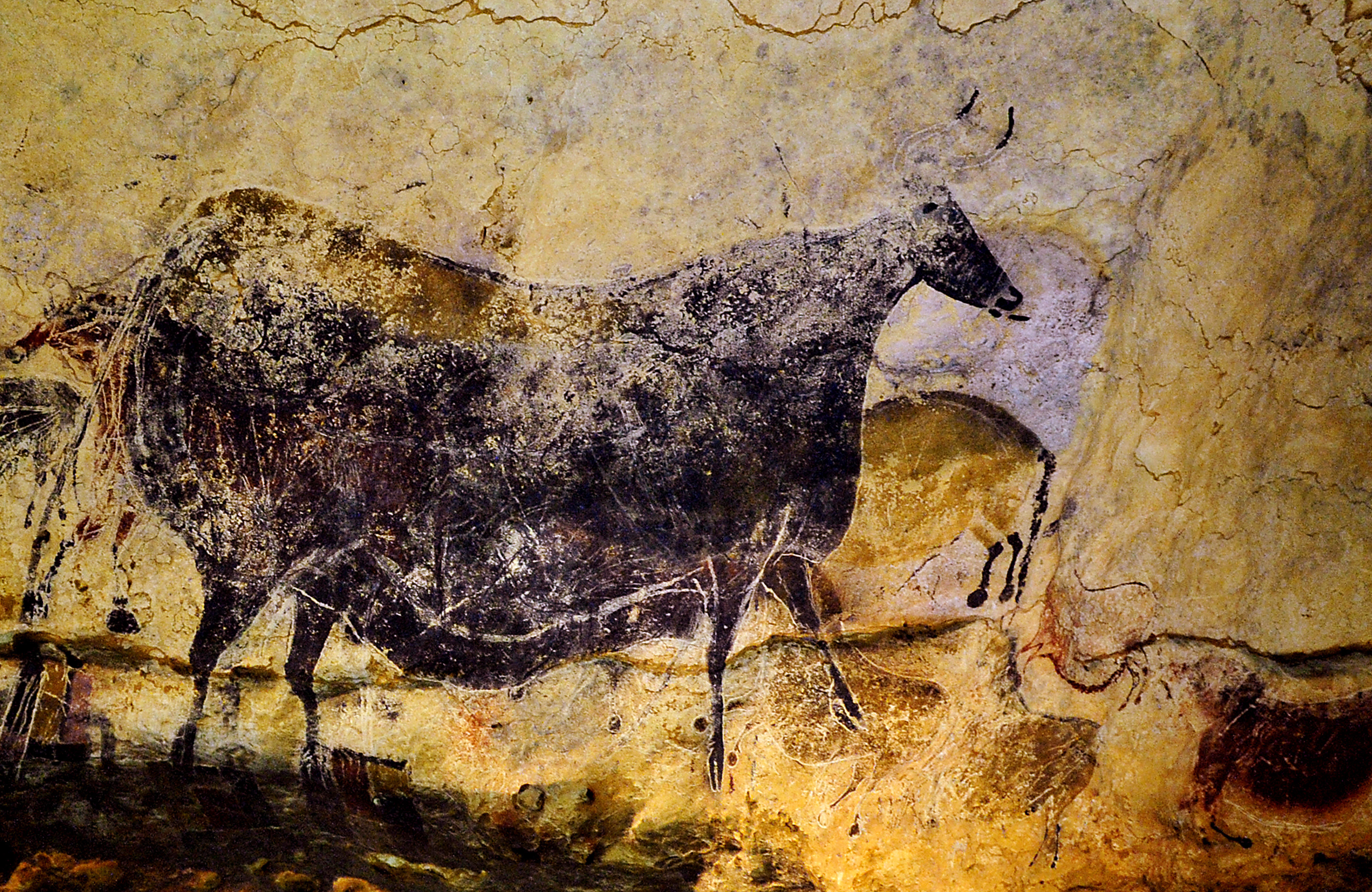 Did ancient cave artists share a global language? - Big Think