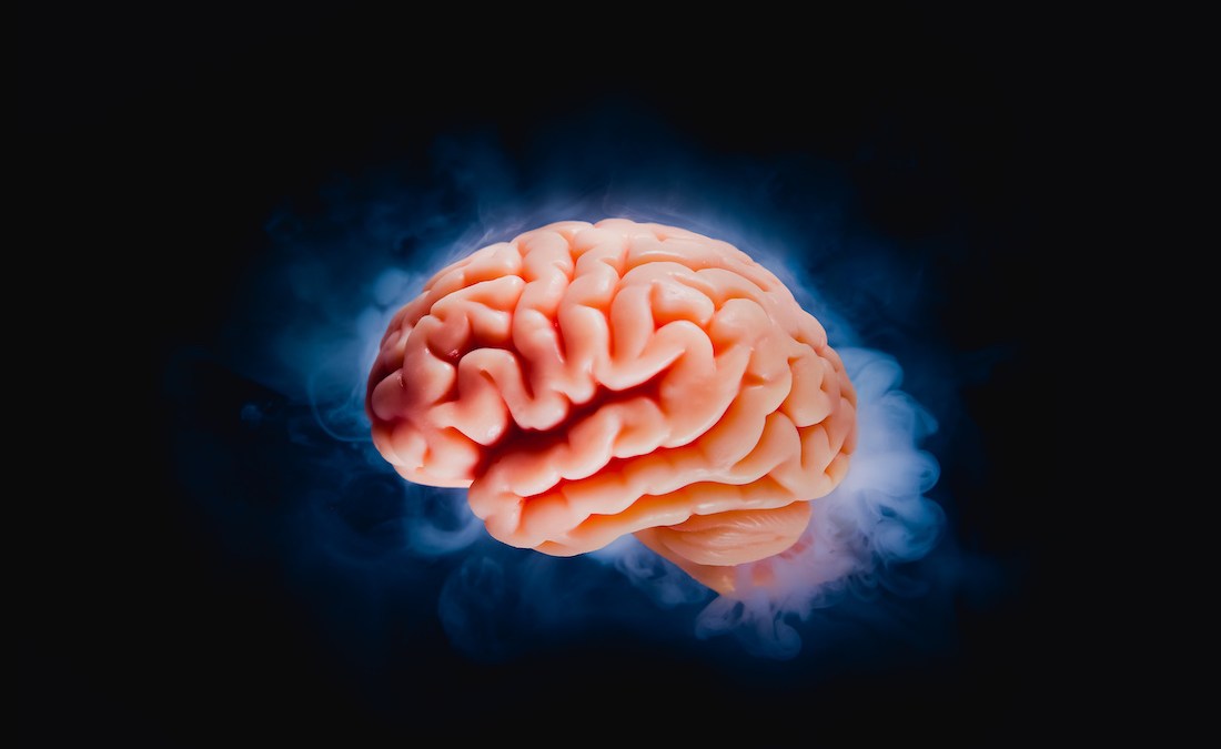 Why is 18 the age of adulthood if the brain can take 30 years to mature ...