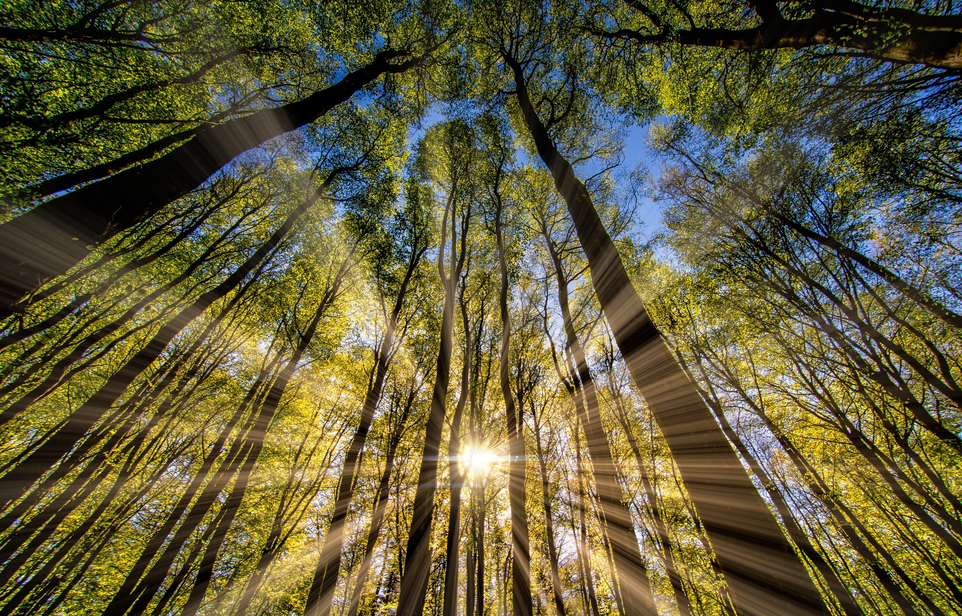 How much energy does the Sun produce? - Big Think