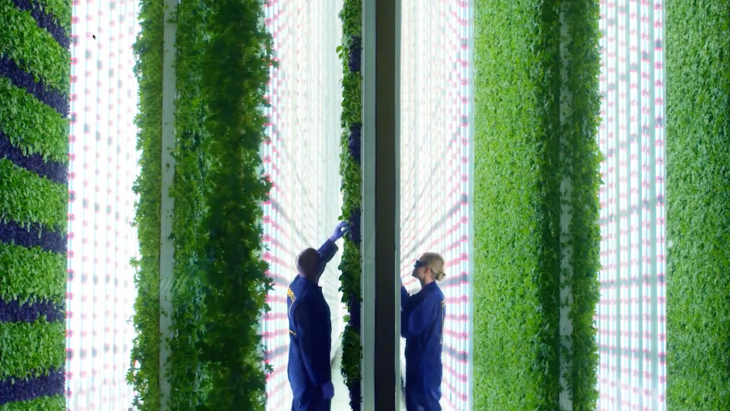 Vertical farming: disrupting agriculture - Big Think