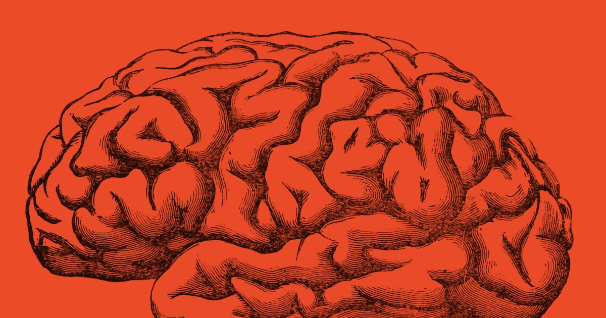 How to live an intellectual life