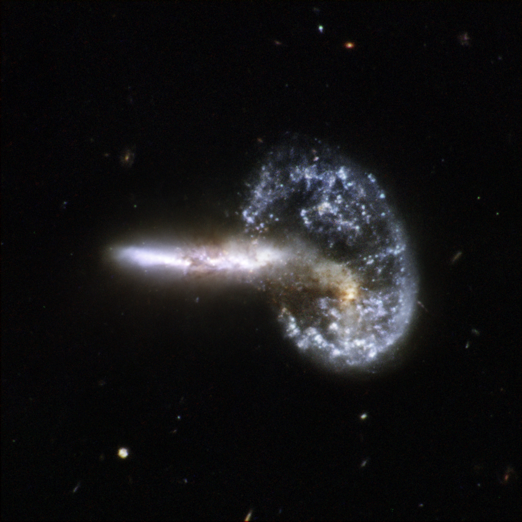 Ring galaxies, the rarest galaxy type of all, are finally understood ...