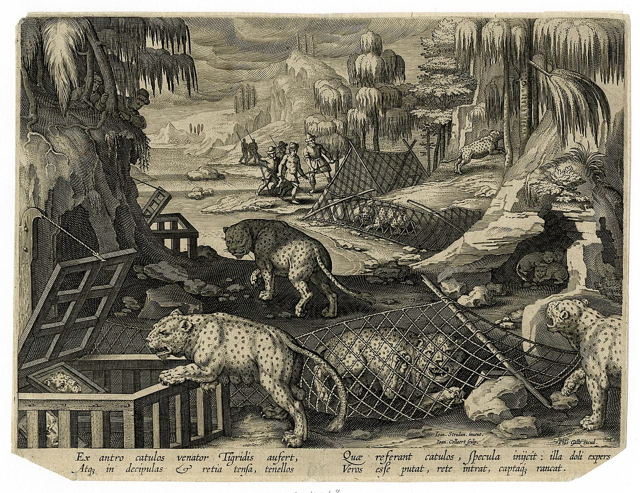Ancient Romans had a strange relationship with exotic animals - Big Think