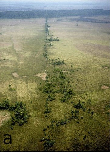 Ancient Amazon river civilization discovered with laser scans - Big Think