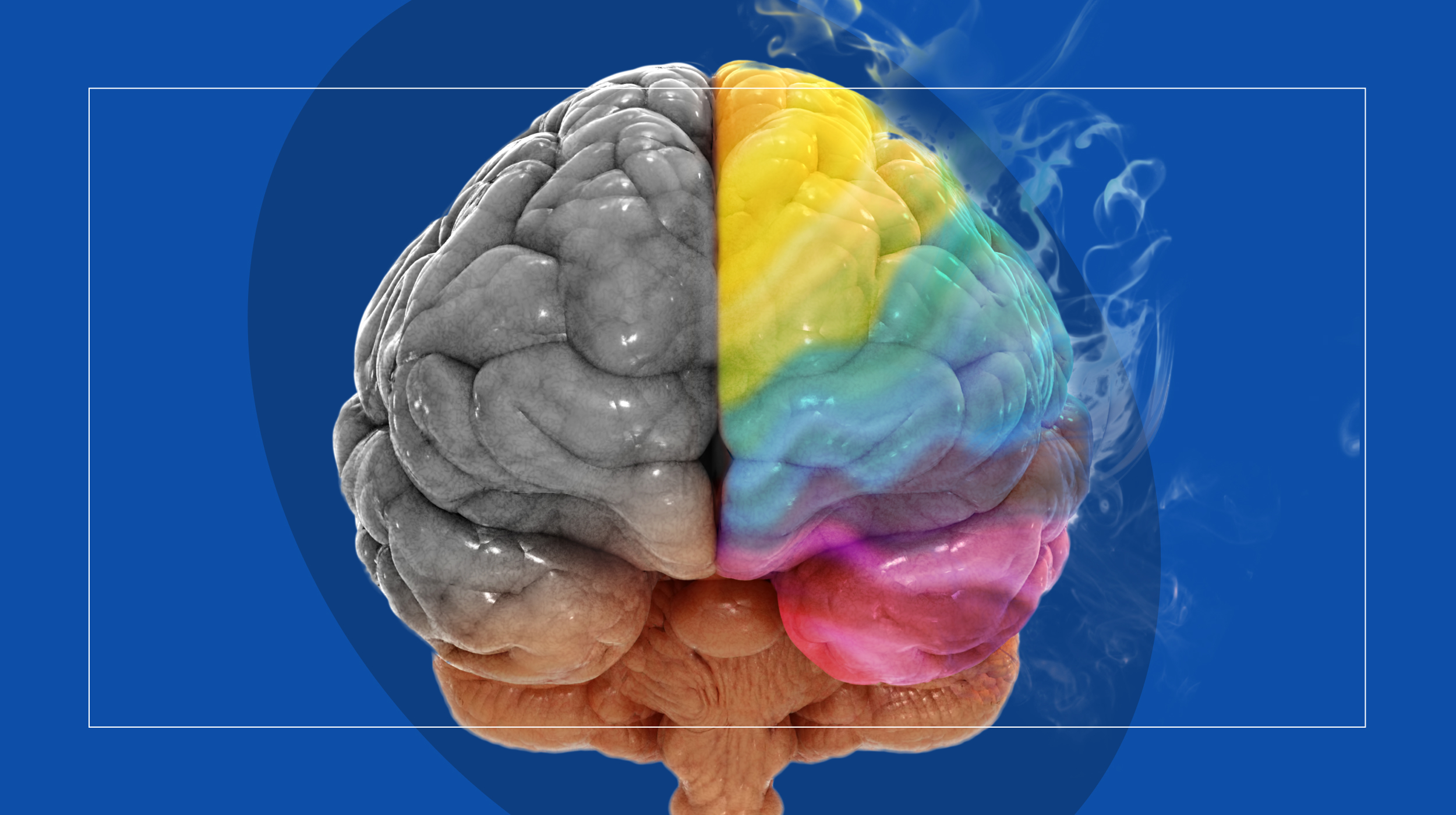Your reptilian brain, explained - Big Think