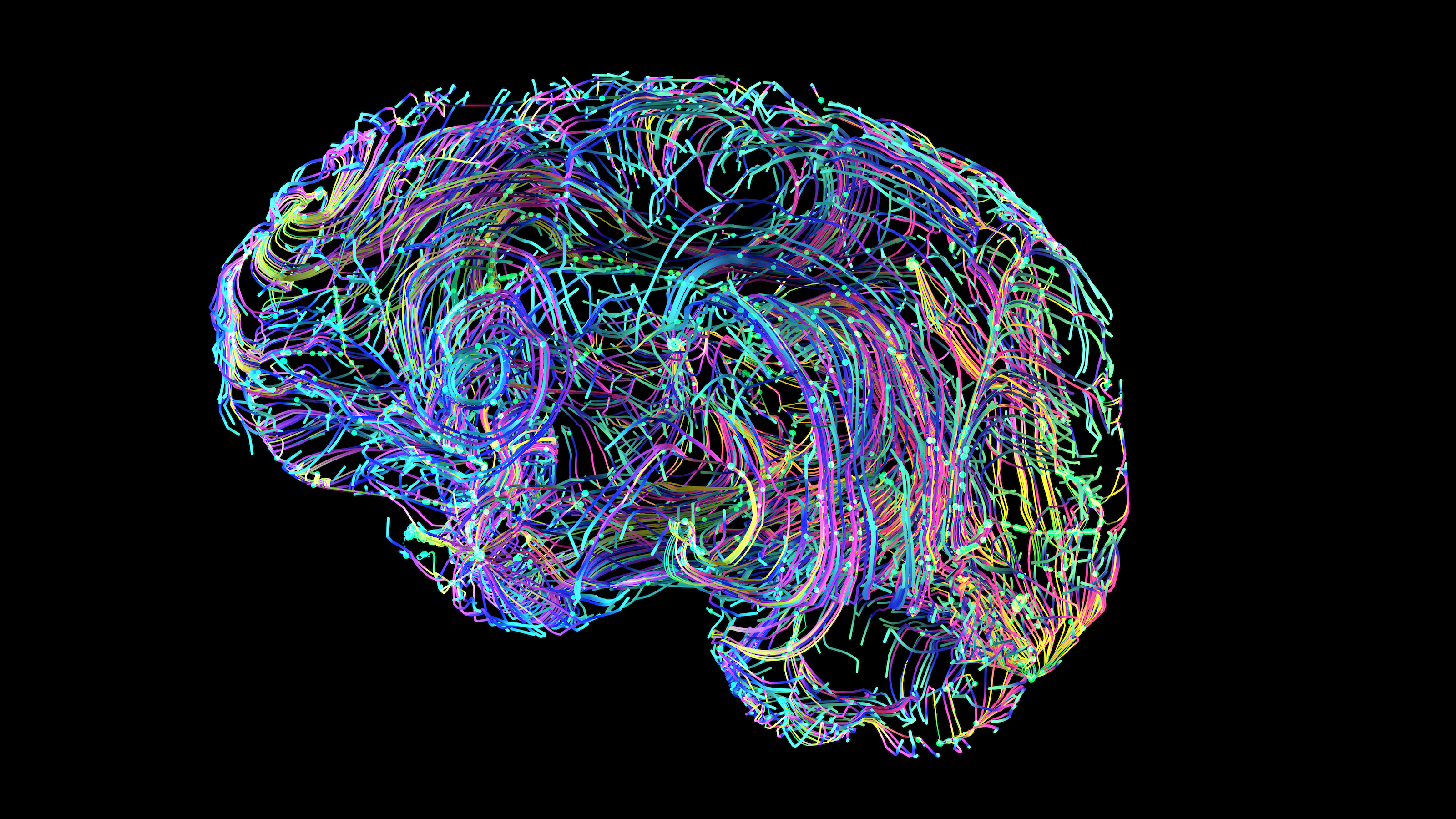 The brain undergoes a great "rewiring" after age 40 - Big Think