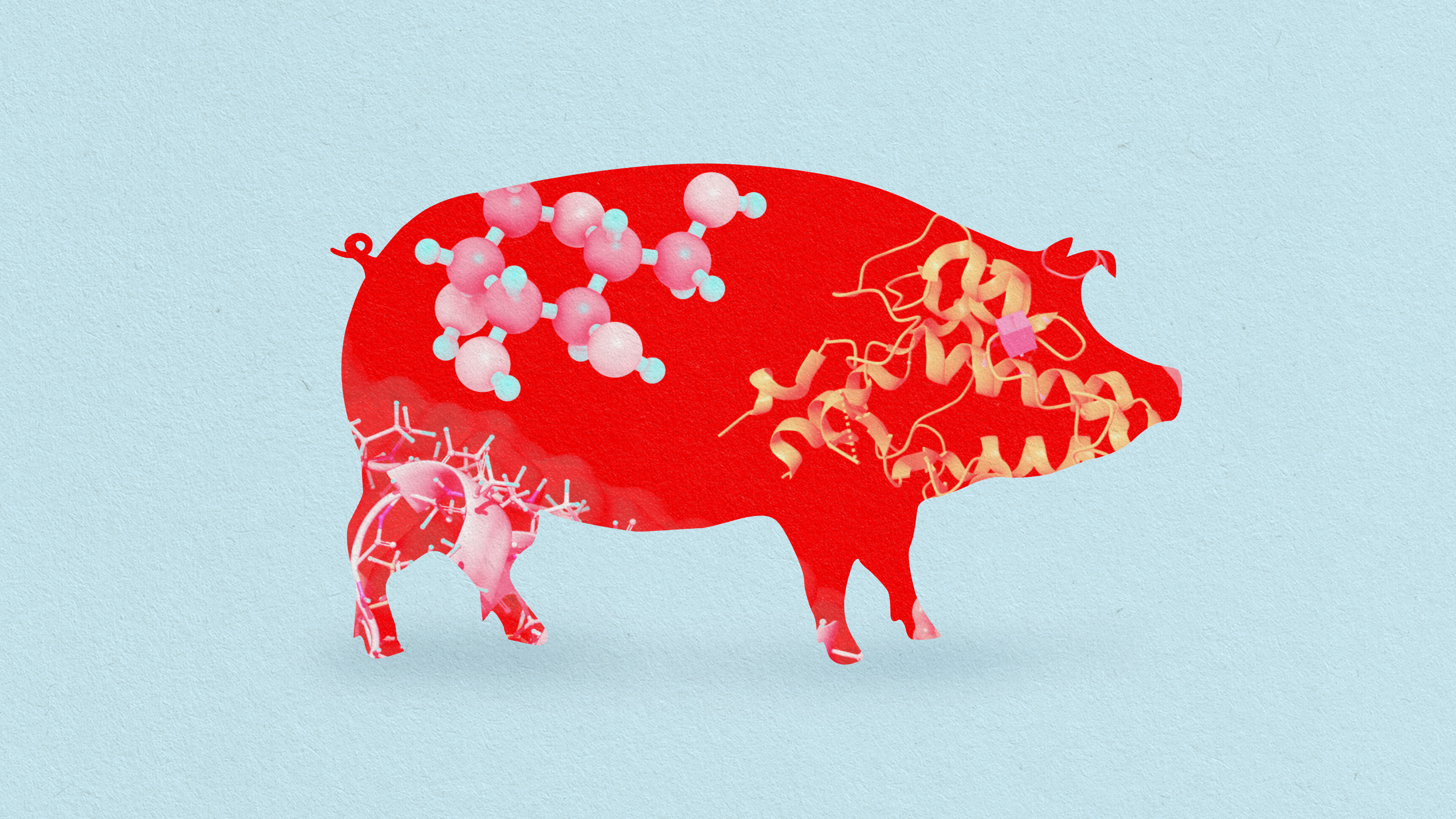 To combat obesity, humans should eat like pigs - Big Think