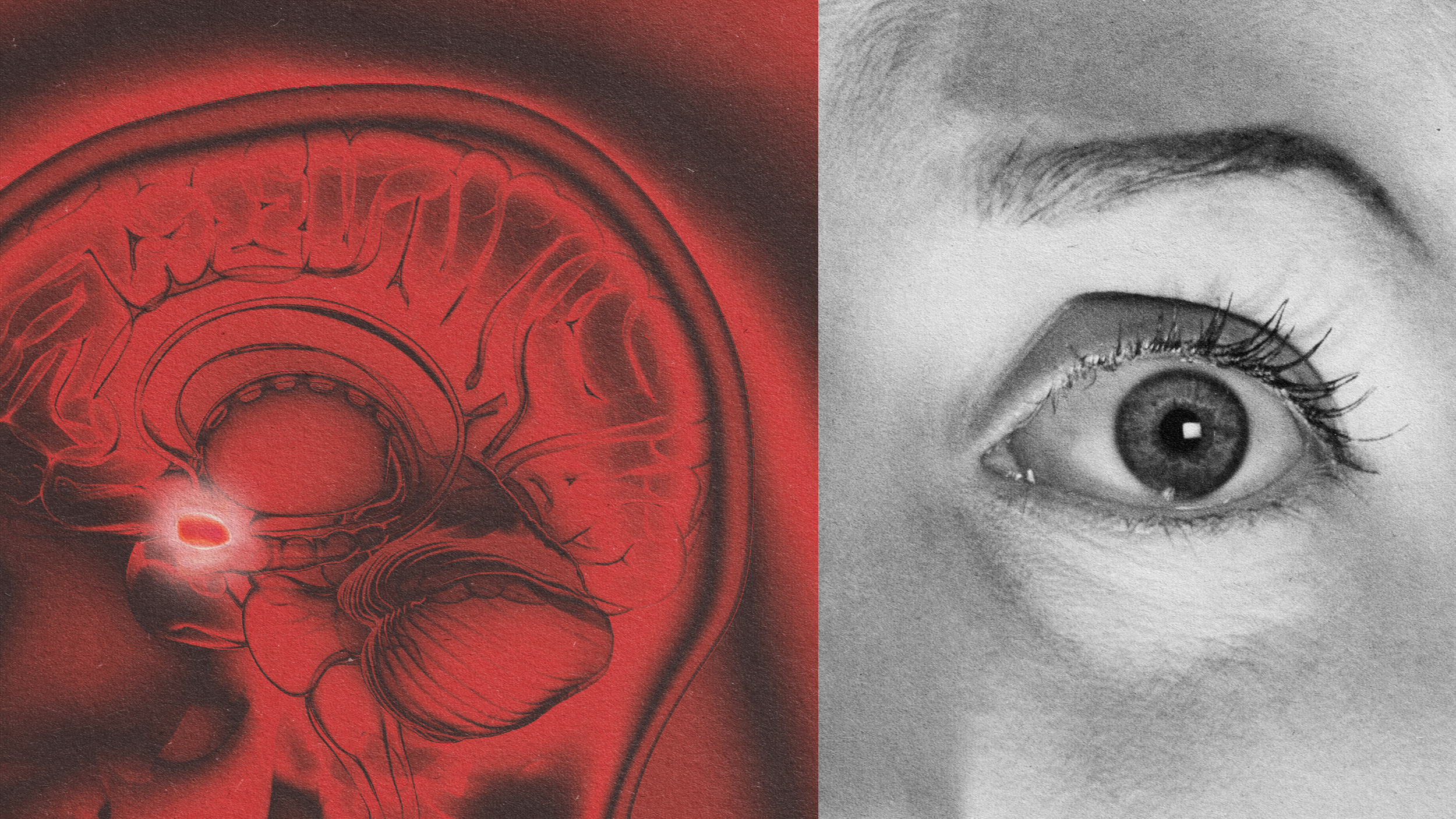 How to stop your amygdala from hijacking your emotions - Big Think